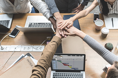 Profetional project development in China (Optimization)